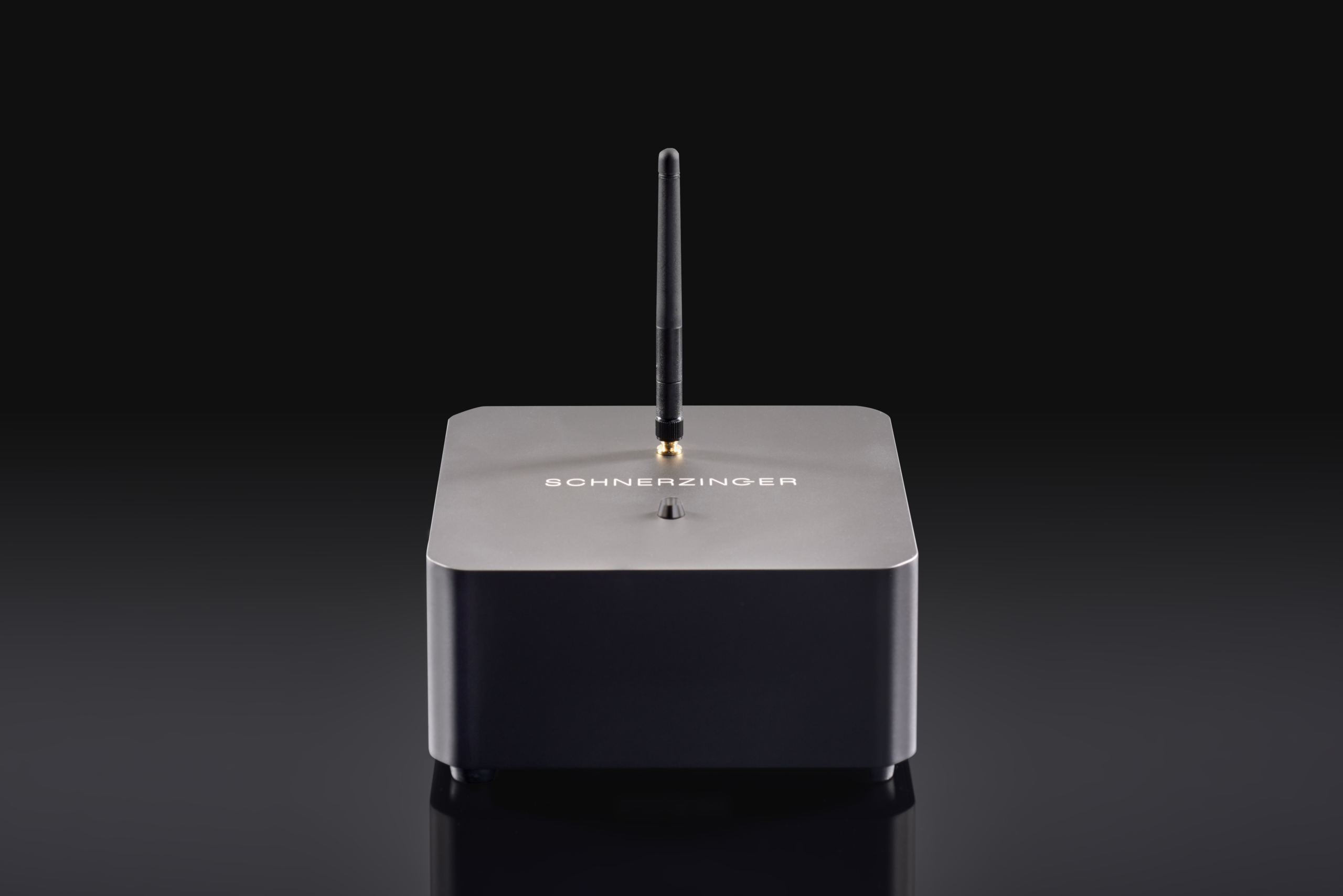 LAN PROTECTOR - Schnerzinger