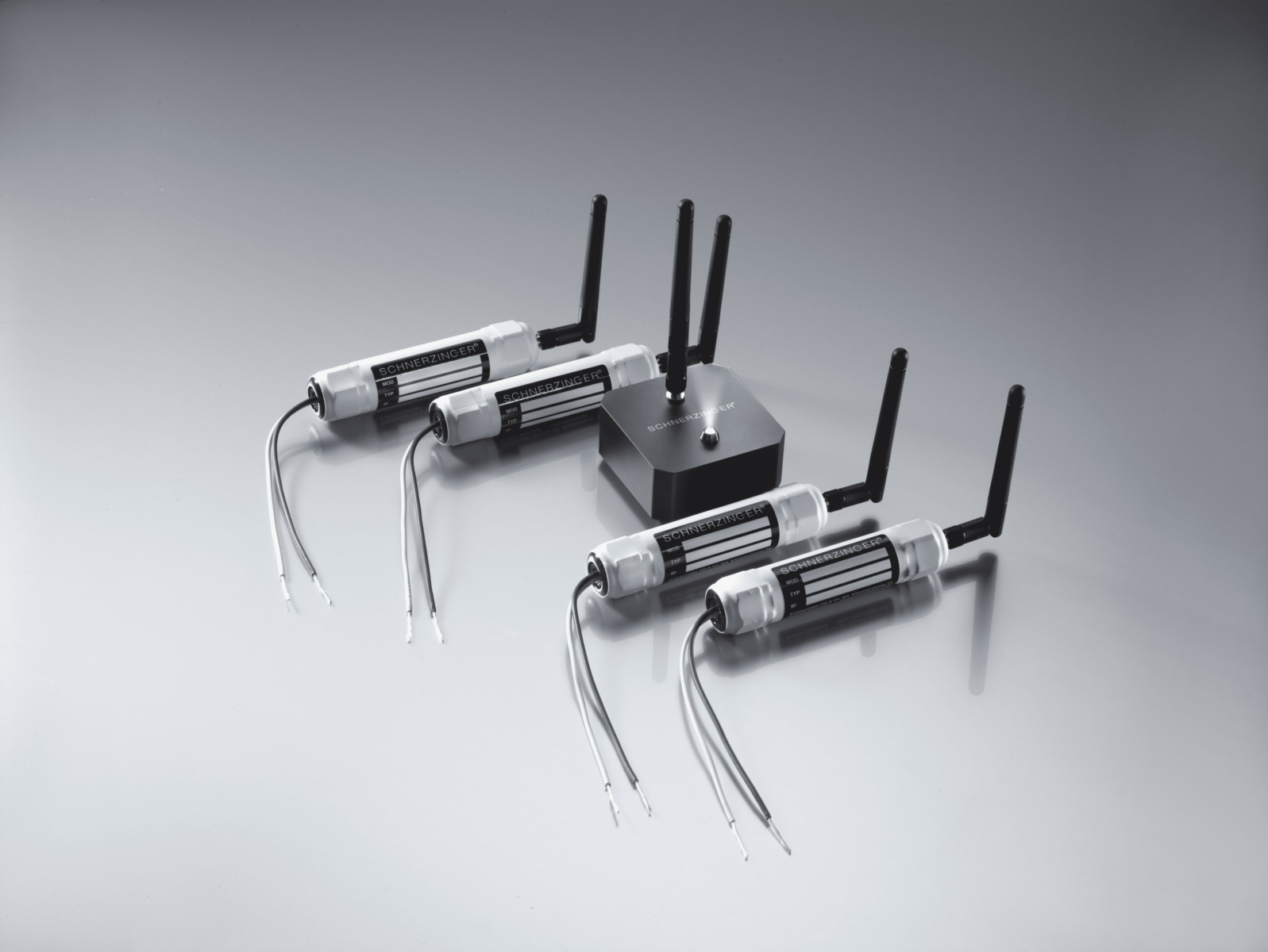 COMPONENT GUARD - Schnerzinger